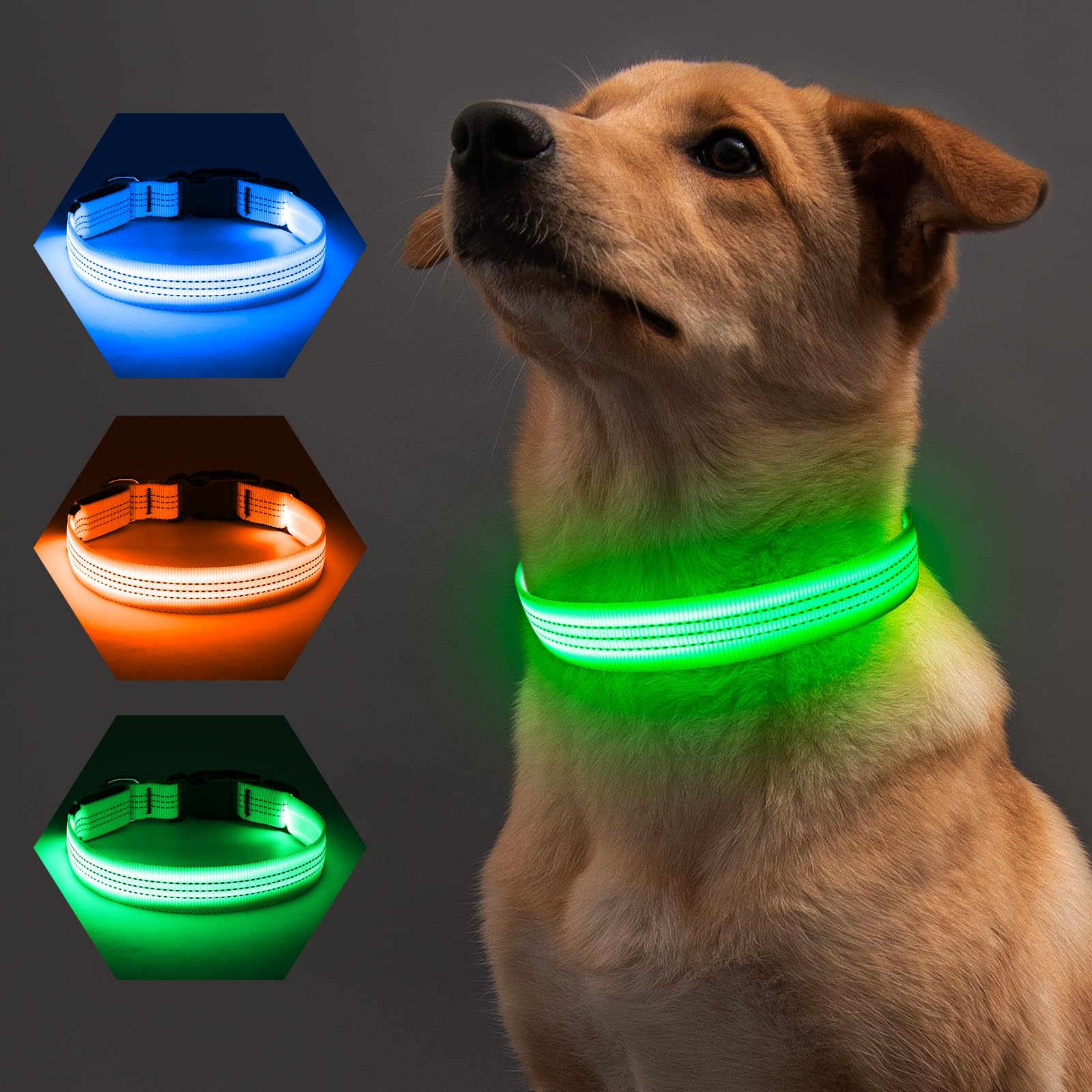 Son Seguros Los Collares De Perro Led