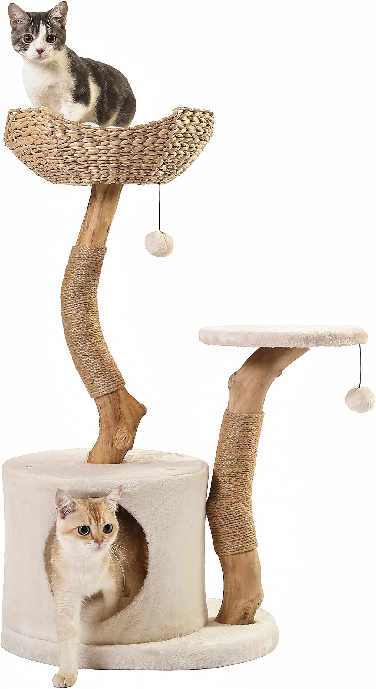 Amazon.com : Petest Cat Tree 38 Inch Real Branch Cat Tower Wood Cat ...