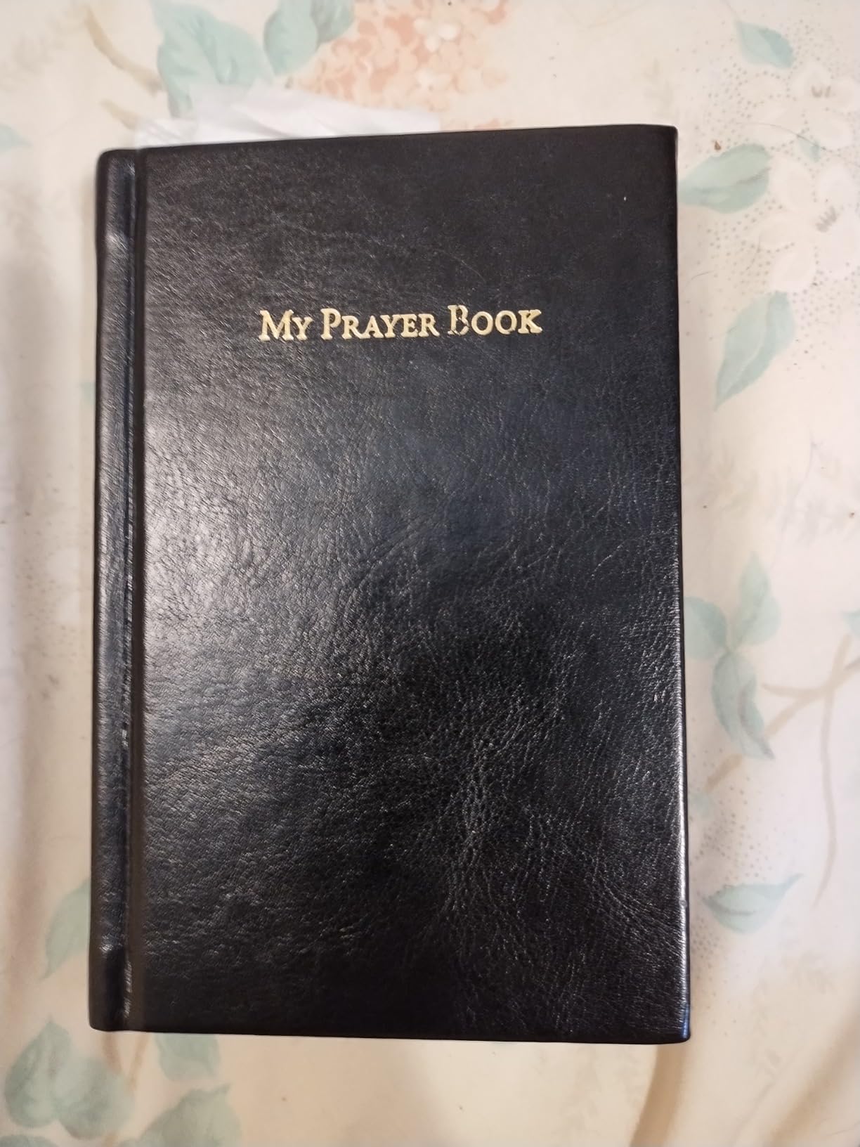 My Prayer Book by Father F. X. Lasance: Father F. X. Lasance: Amazon ...
