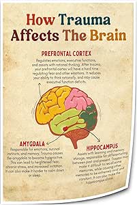 Amazon.com: Yelowcaq Mental Health Wall Art How Trauma Affects The ...