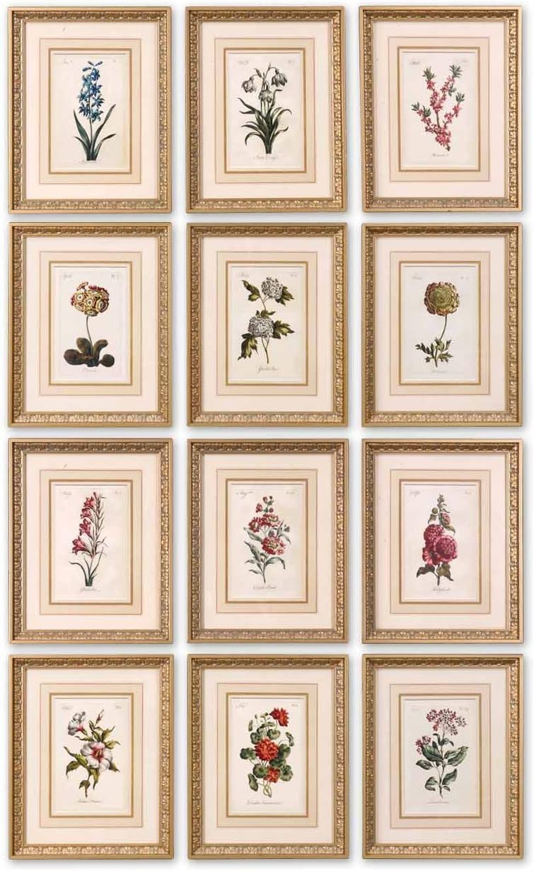 Amazon.com: Floral Botanical Prints Set 12 Gold Framed | Vintage Flower ...