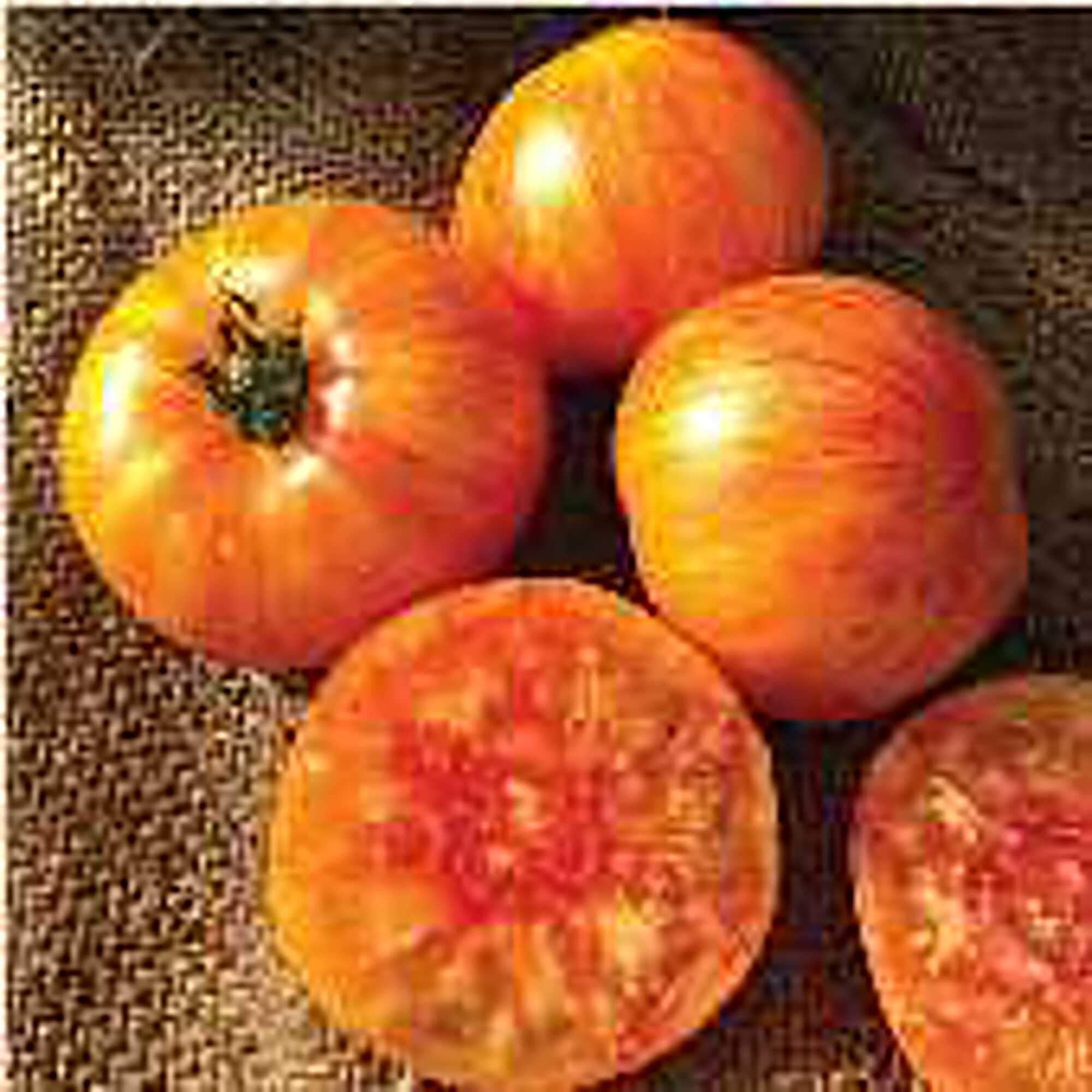 Amazon.com : Cherokee Carbon Tomato Seed : Patio, Lawn & Garden
