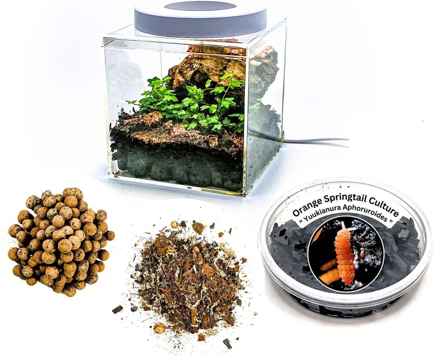 Amazon.com: Generic Tiny Terrarium Kit for Springtails (4x4 inch ...