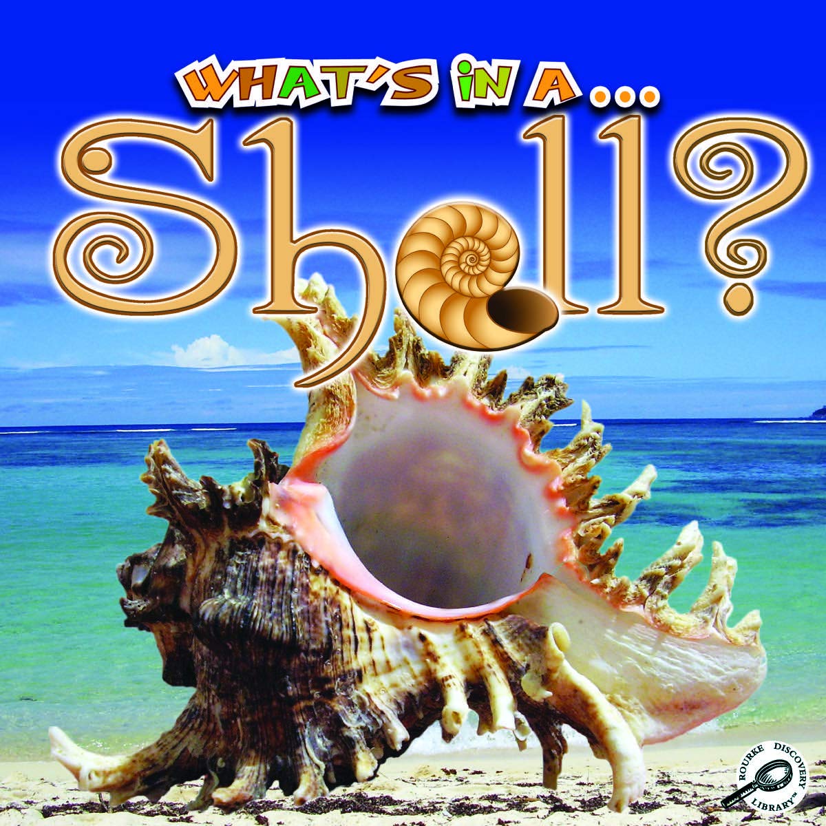 Shell (What's In A…): Maurer, Tracy: 9781615902804: Amazon.com: Books
