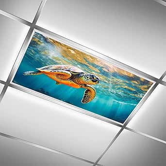 Fluorescent Light Covers For Classroom 2x4 Light Covers For Ceiling ...