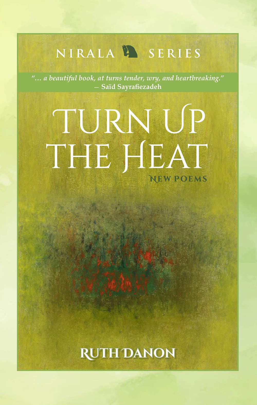 Turn Up the Heat: New Poems: Danon, Ruth: 9788195781645: Amazon.com: Books