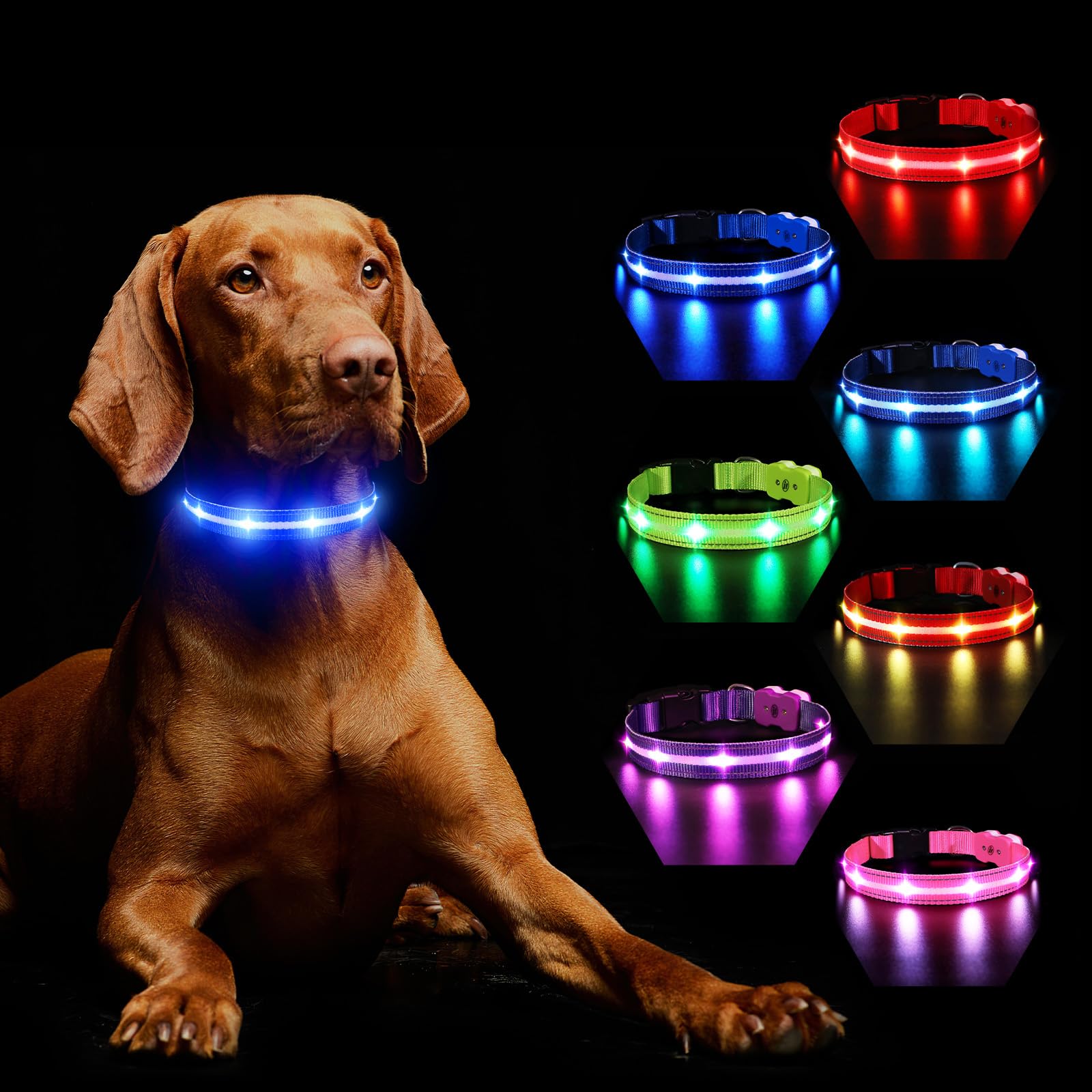 Light Up Dog Collar Rechargeable, LED Dog Collar Lights with 7 Colors ...