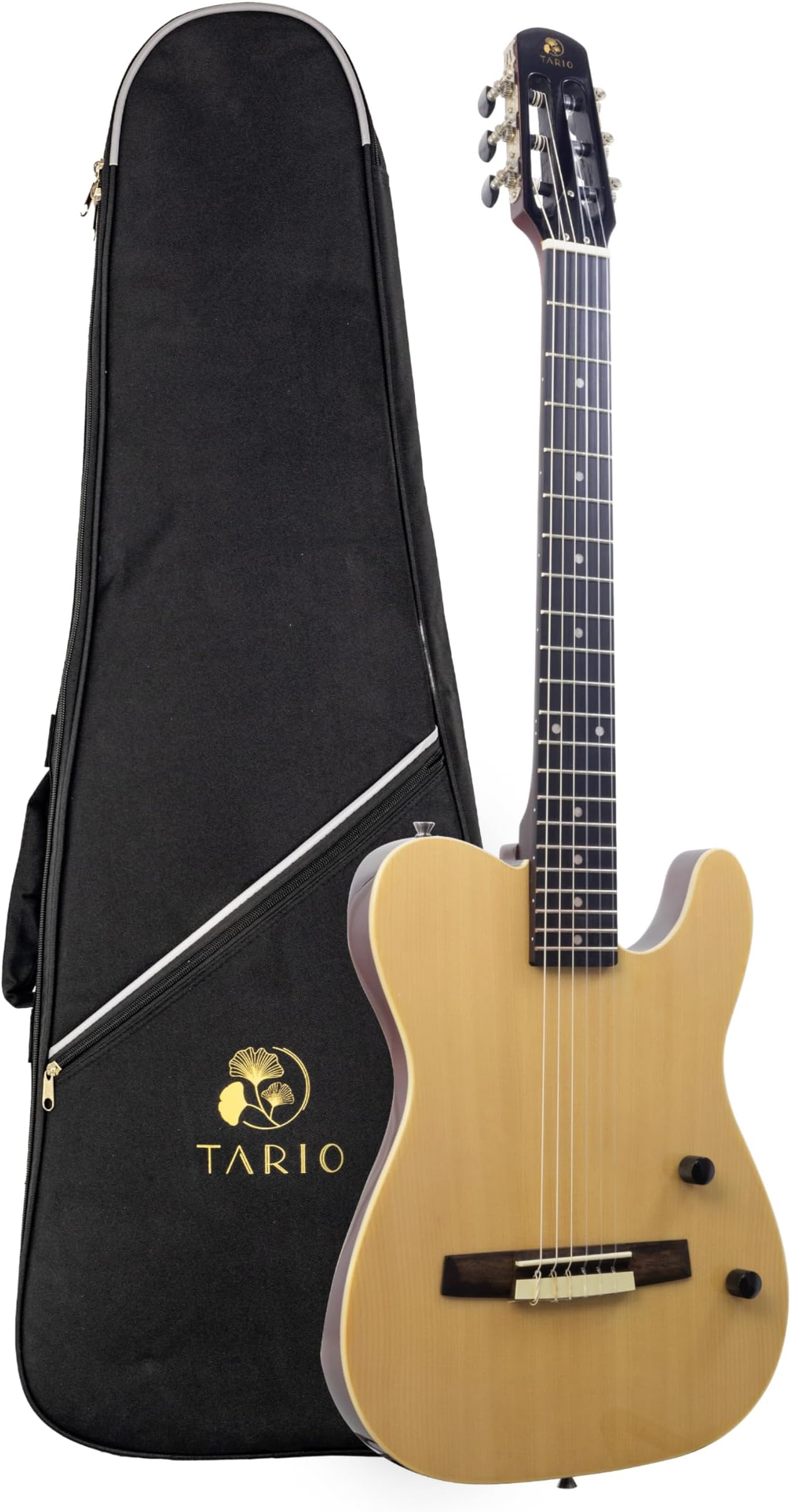 Amazon.com: Ibanez FRH10N Thinline Nylon Acoustic-electric Guitar ...