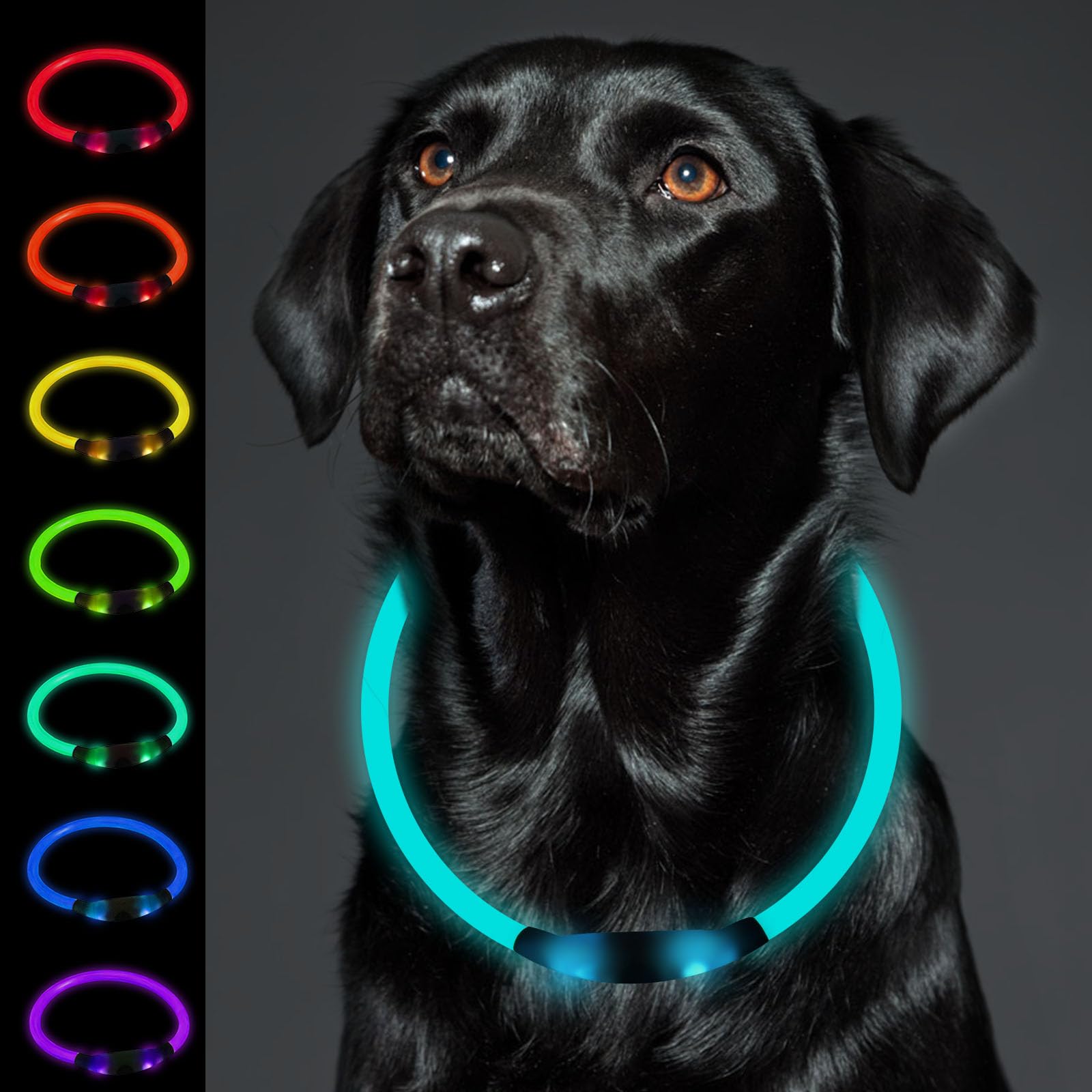 DOINEUFL Light Up Dog Collar, Led Dog Collar, Flashing Dog Collars ...