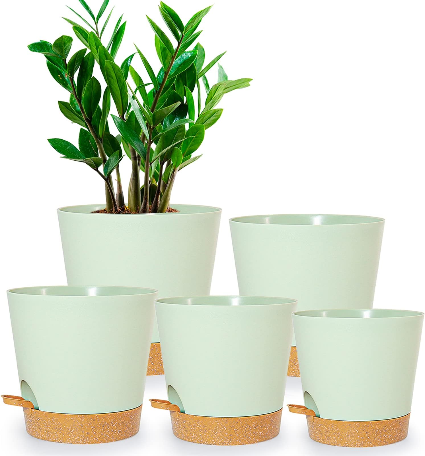 Amazon.com: Qaobo Plant Pots 6 PCS 5 inch Self Watering Planters High ...