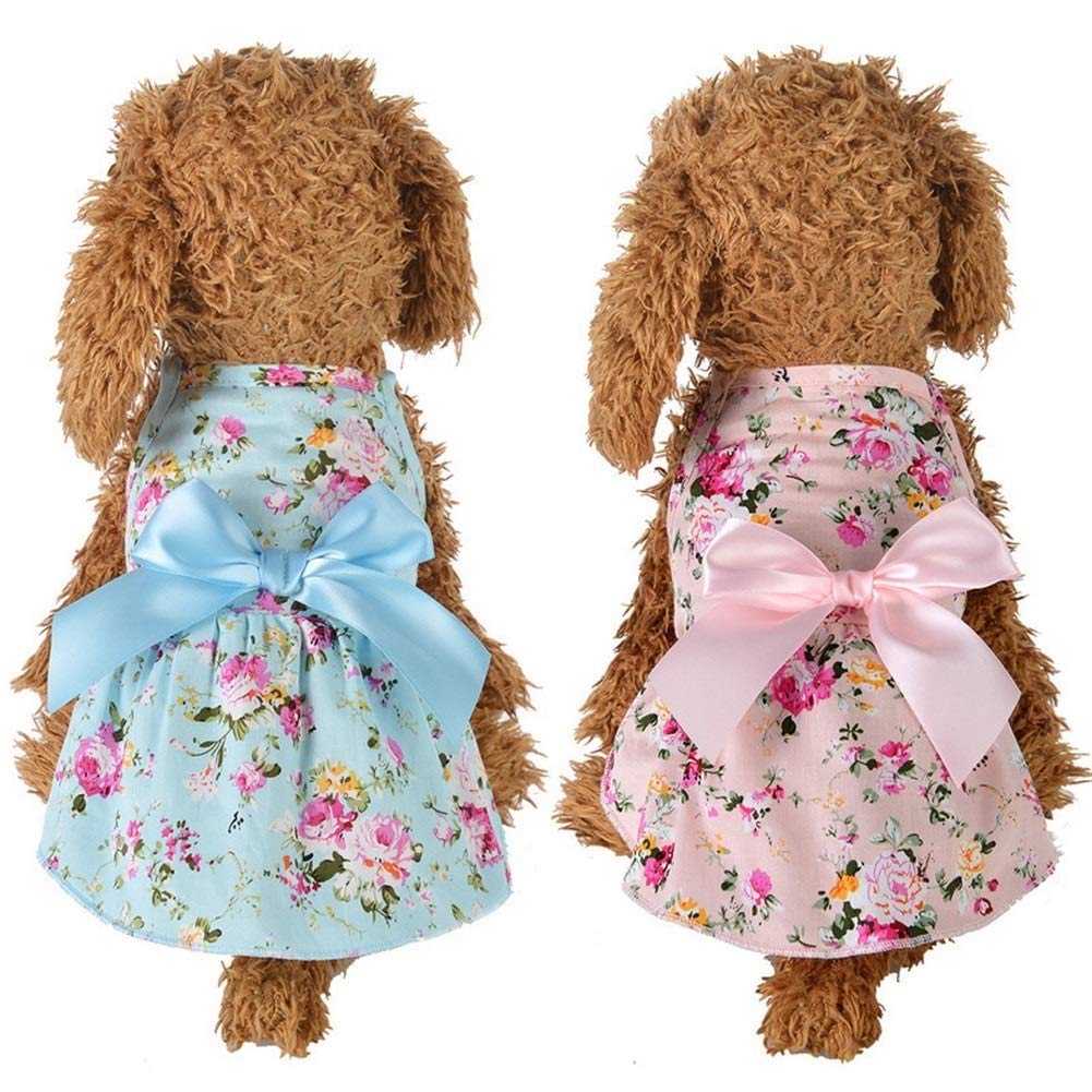 Dogs In Fancy Dress