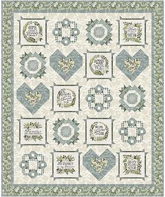 Amazon.com: Deb Strain Happiness Blooms Happiness Sampler Quilt Kit ...