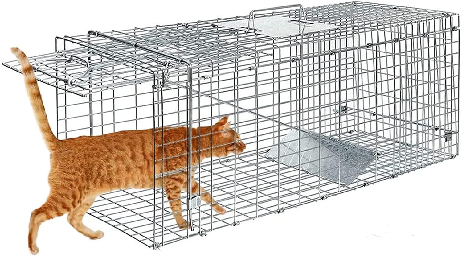 Amazon.com : Large Animal Trap for Adult Cat, Rabbit Groundhog Squirrel ...