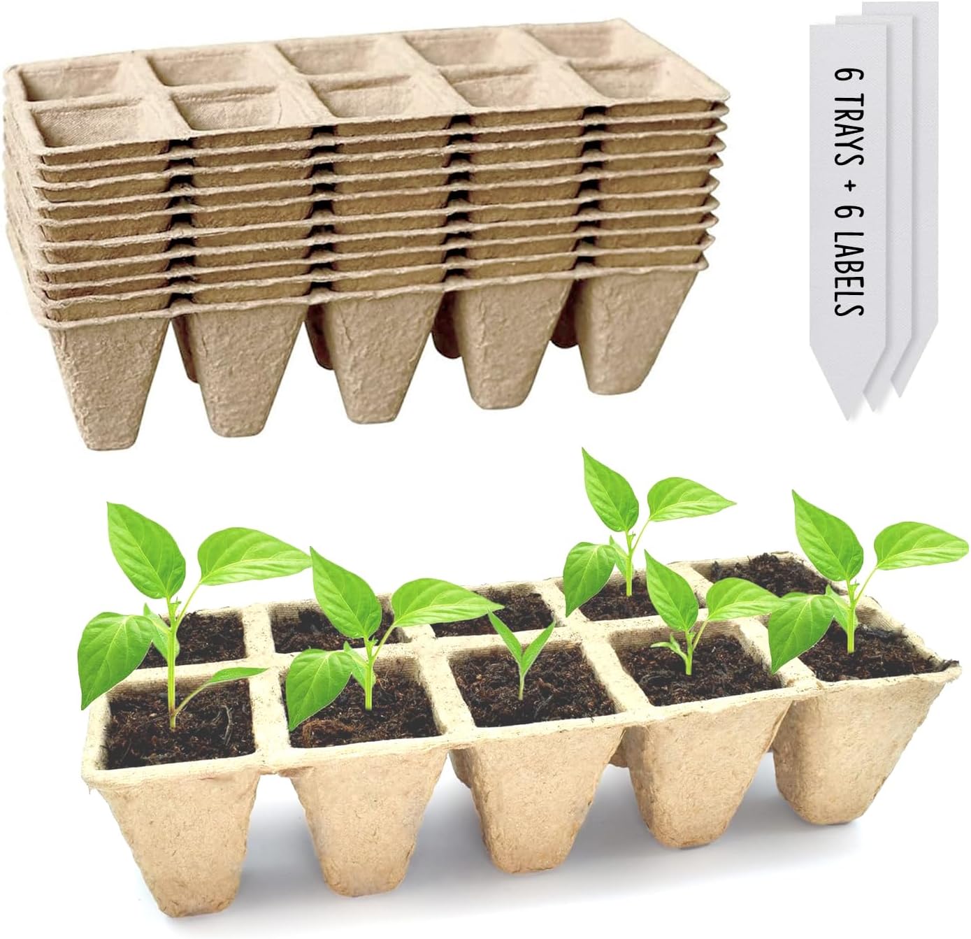 Green Thumbz Seed Trays - 10 Seed Tray x 6 Pack (Equivalent to 60 Cells ...