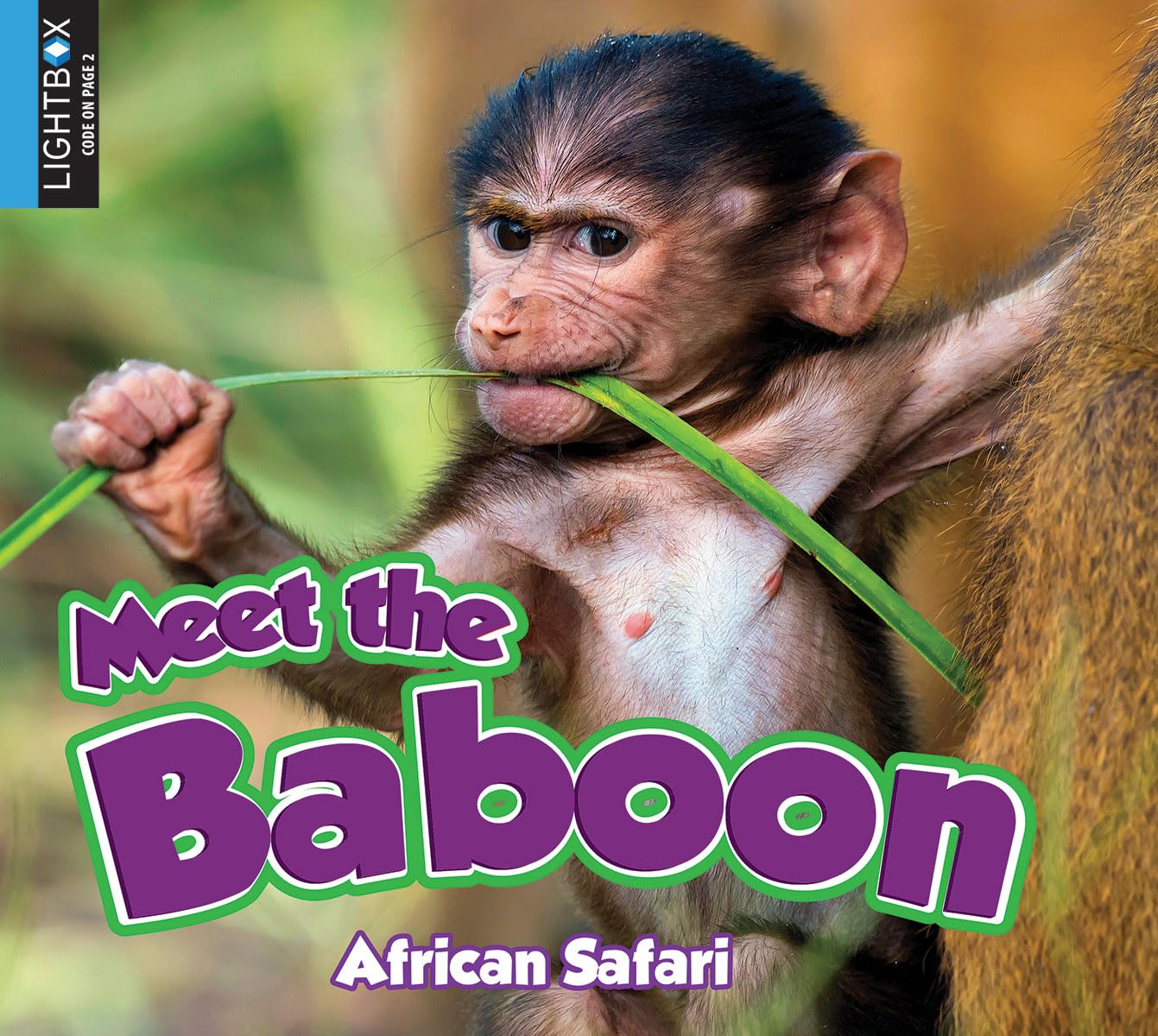 Meet the Baboon (African Safari): Katie, Gillespie: 9781510505421 ...