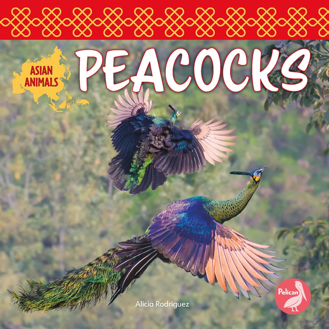 Peacocks (Asian Animals): Rodriguez, Alicia: 9781638974376: Amazon.com ...