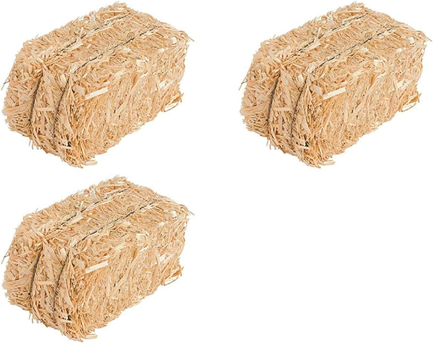 Amazon.com: (3) Mini Straw Bales for displays Autumn Halloween ...