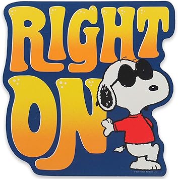 Amazon.com : Peanuts Snoopy Right On Wood Wall Decor - Fun Snoopy Sign ...