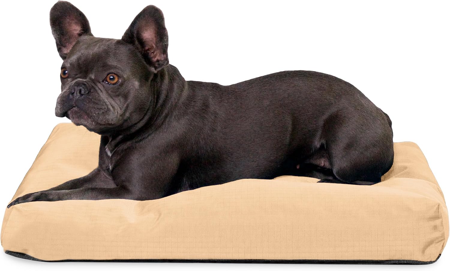 K9 Ballistics Tough Rectangle Nesting Small Dog Bed - Washable, Durable ...