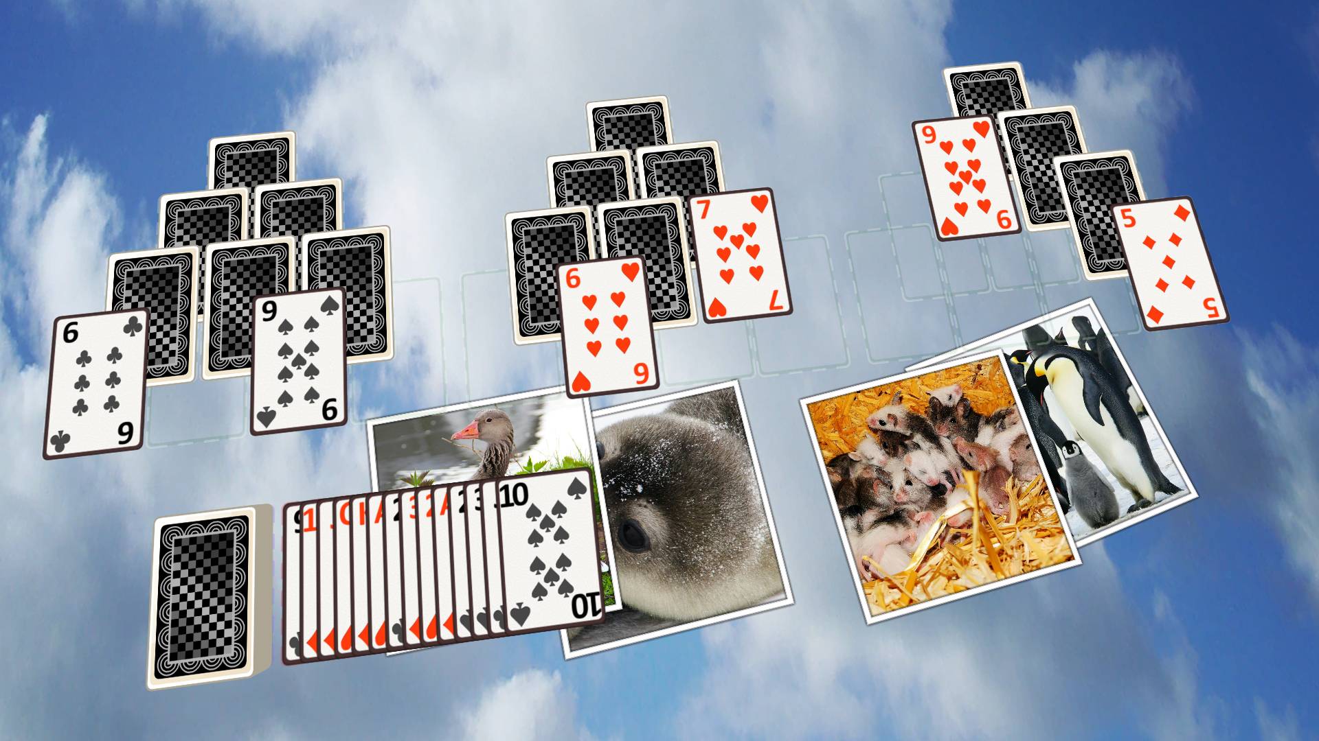 TriPeaks Baby Animals TV - App on Amazon Appstore