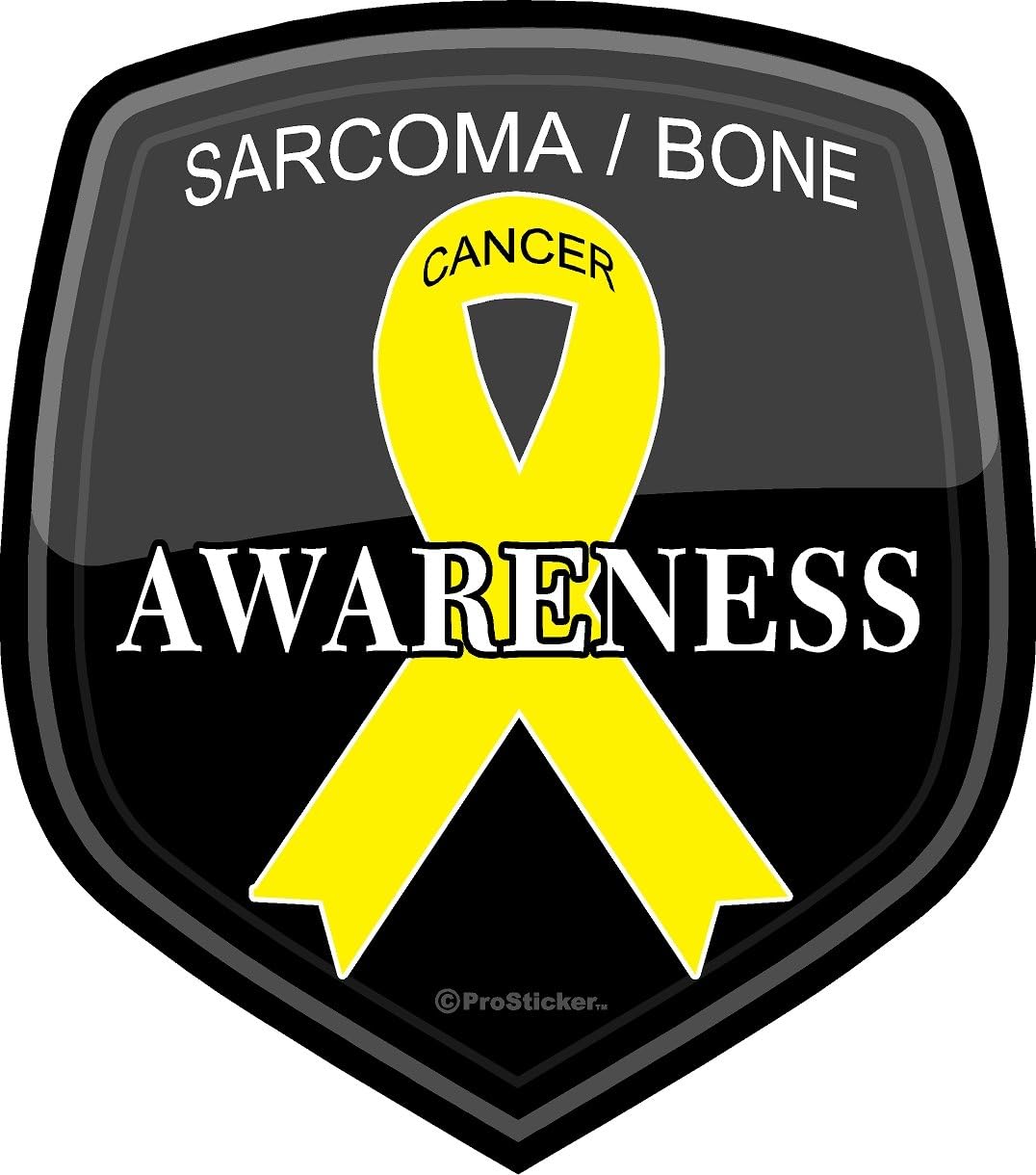 Amazon.com: ProSticker 2508 (One) 4" Cancer Awareness Series Sarcoma ...