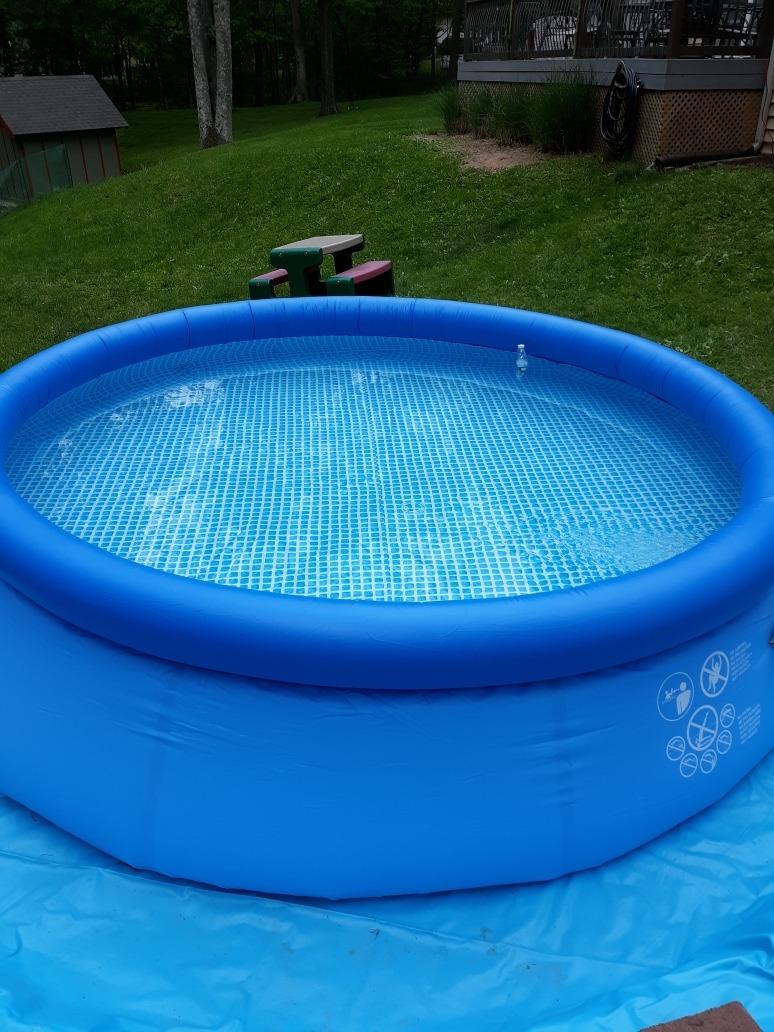 Amazon.com: Intex 10ft x 30in Easy Set above Ground Inflatable Family ...