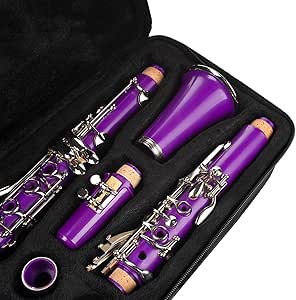 Amazon.com: 17 Keys ABS Clarinet Down Bb Student Clarinet Professional ...
