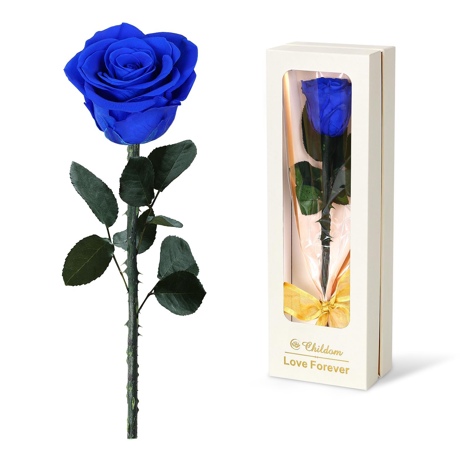 Amazon.com: Christmas Rose Gifts for Women,Birthday Gifts for Women ...