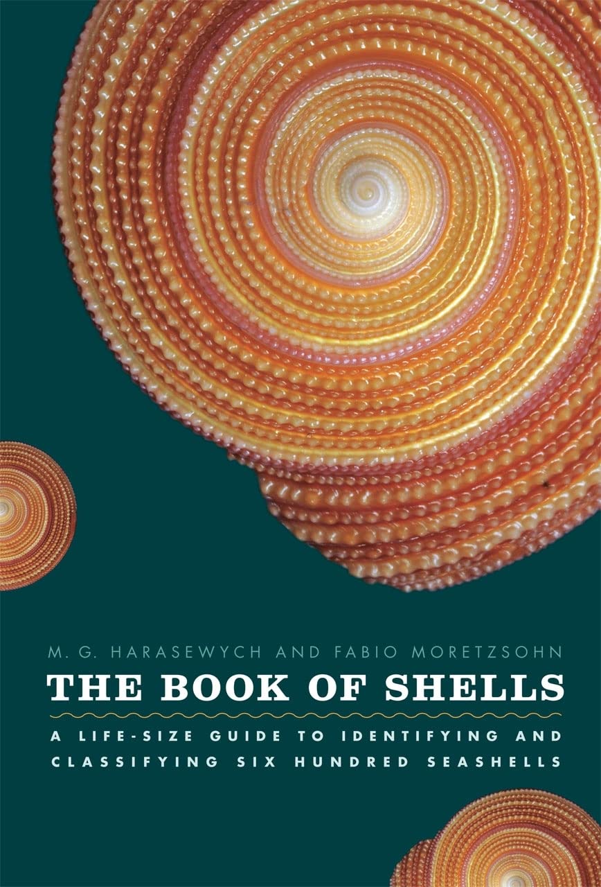Buy The Book of Shells: A Life-Size Guide to Identifying and ...