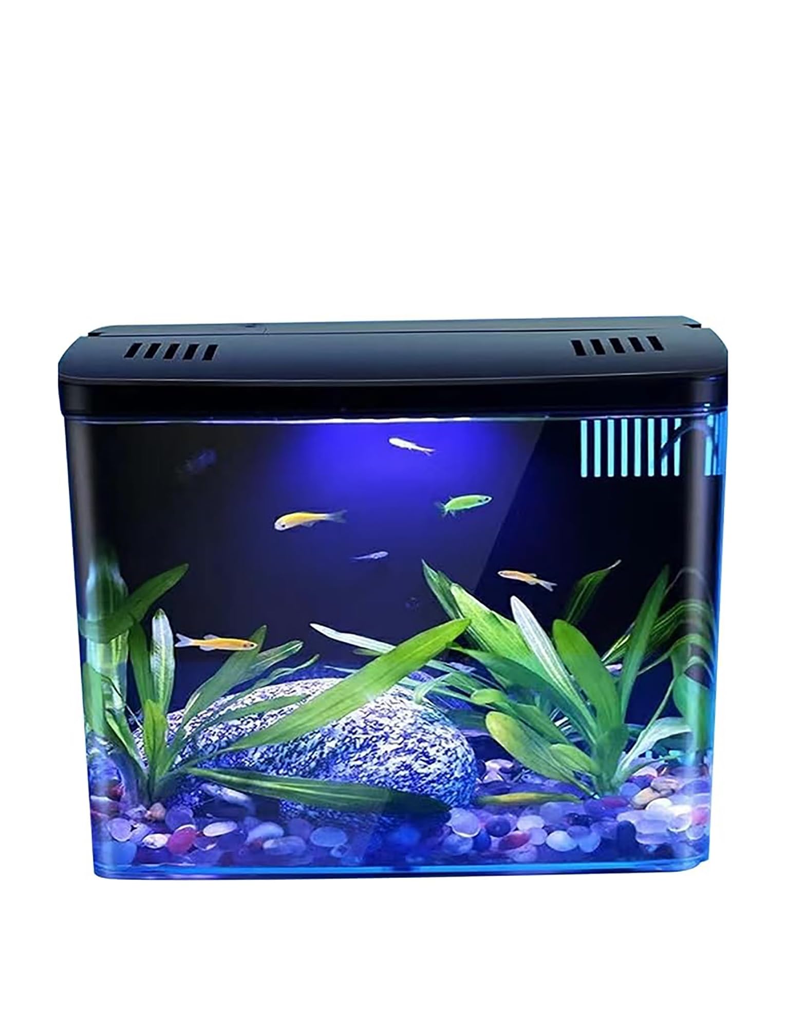 Rectangle Fish Tank With Lid