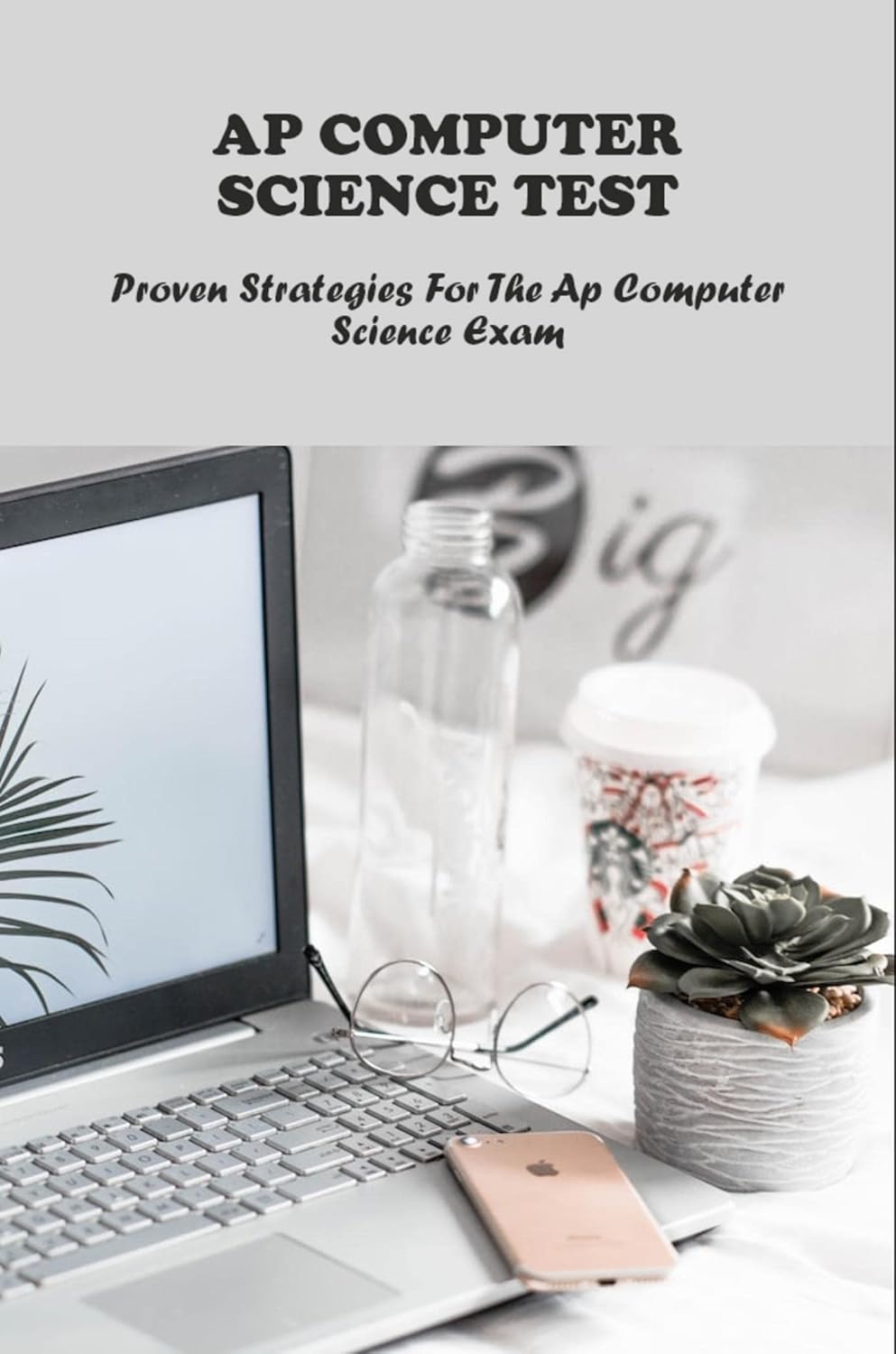 Ap Computer Science Test Proven Strategies For The Ap Computer Science Exam Ebook Purpura