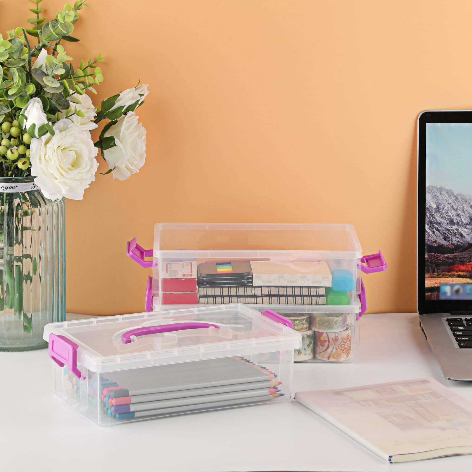 Snapklik.com : BTSKY 3 Layers Cute Dolphin Clear Plastic Pencil Box ...