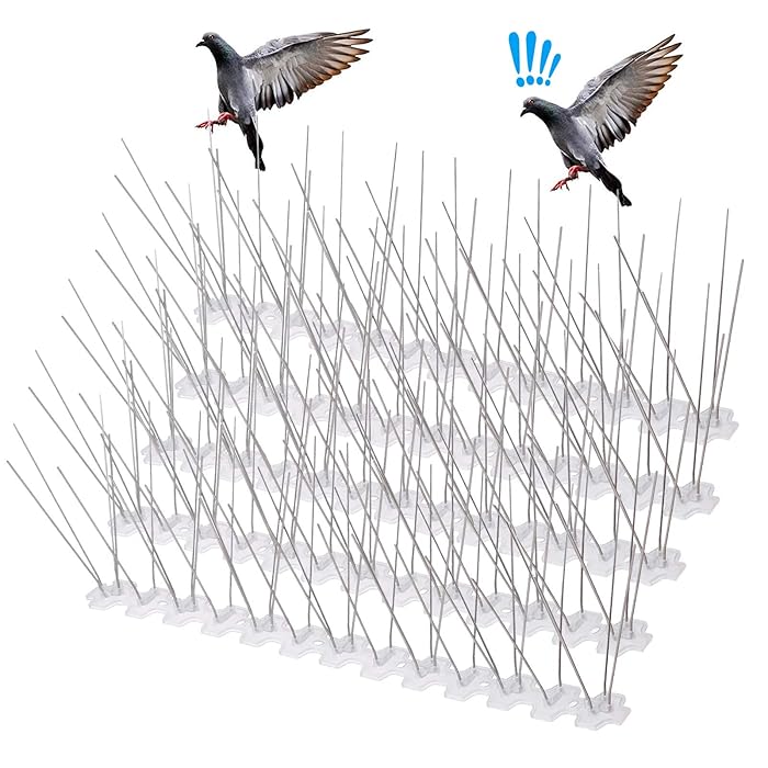 Buy LEPO Bird Spikes, Durable Stainless Steel Bird Repellent Spikes ...