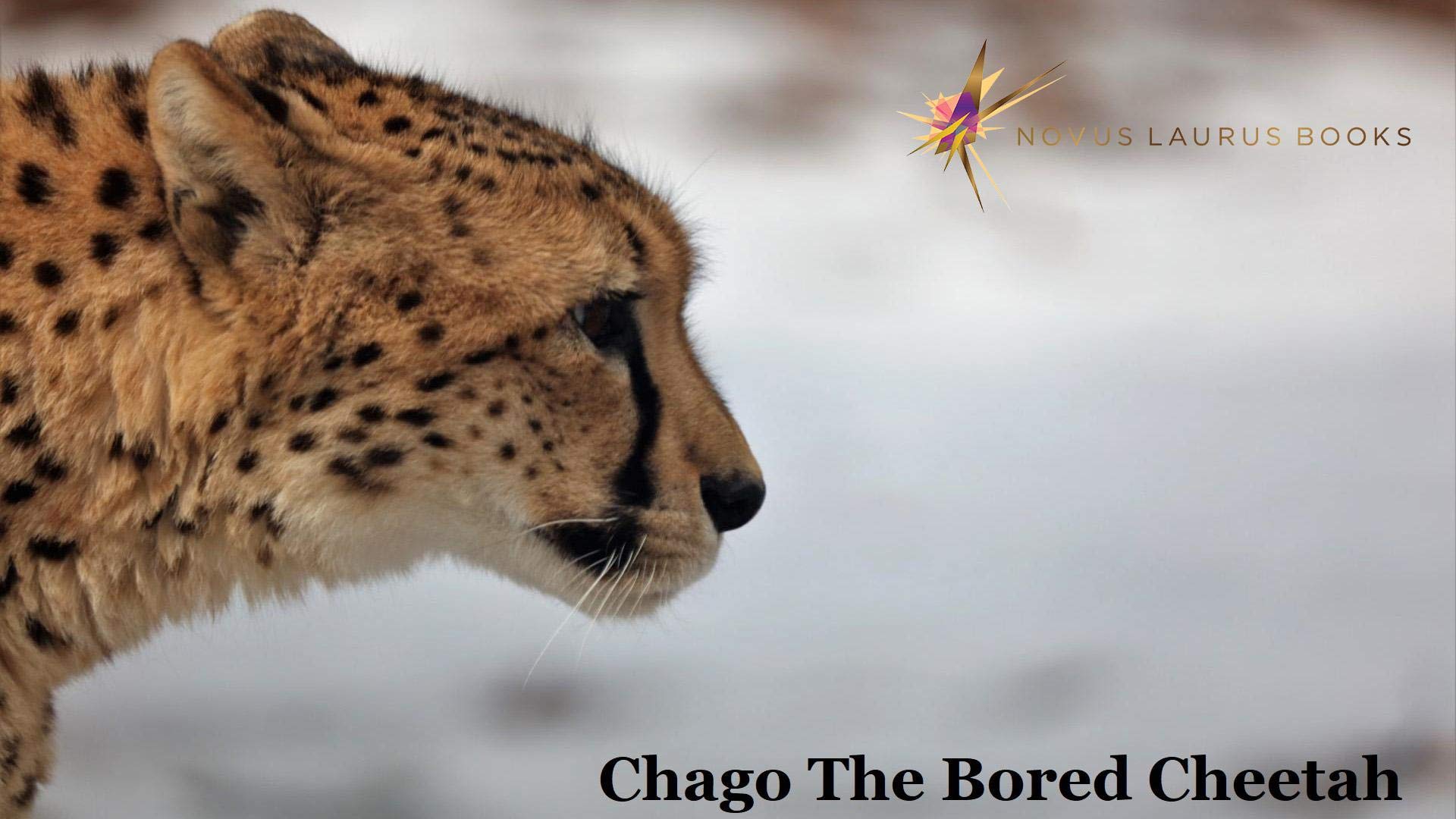Buy Chago The Bored Cheetah: 'I am bored' and how to get kids to find ...