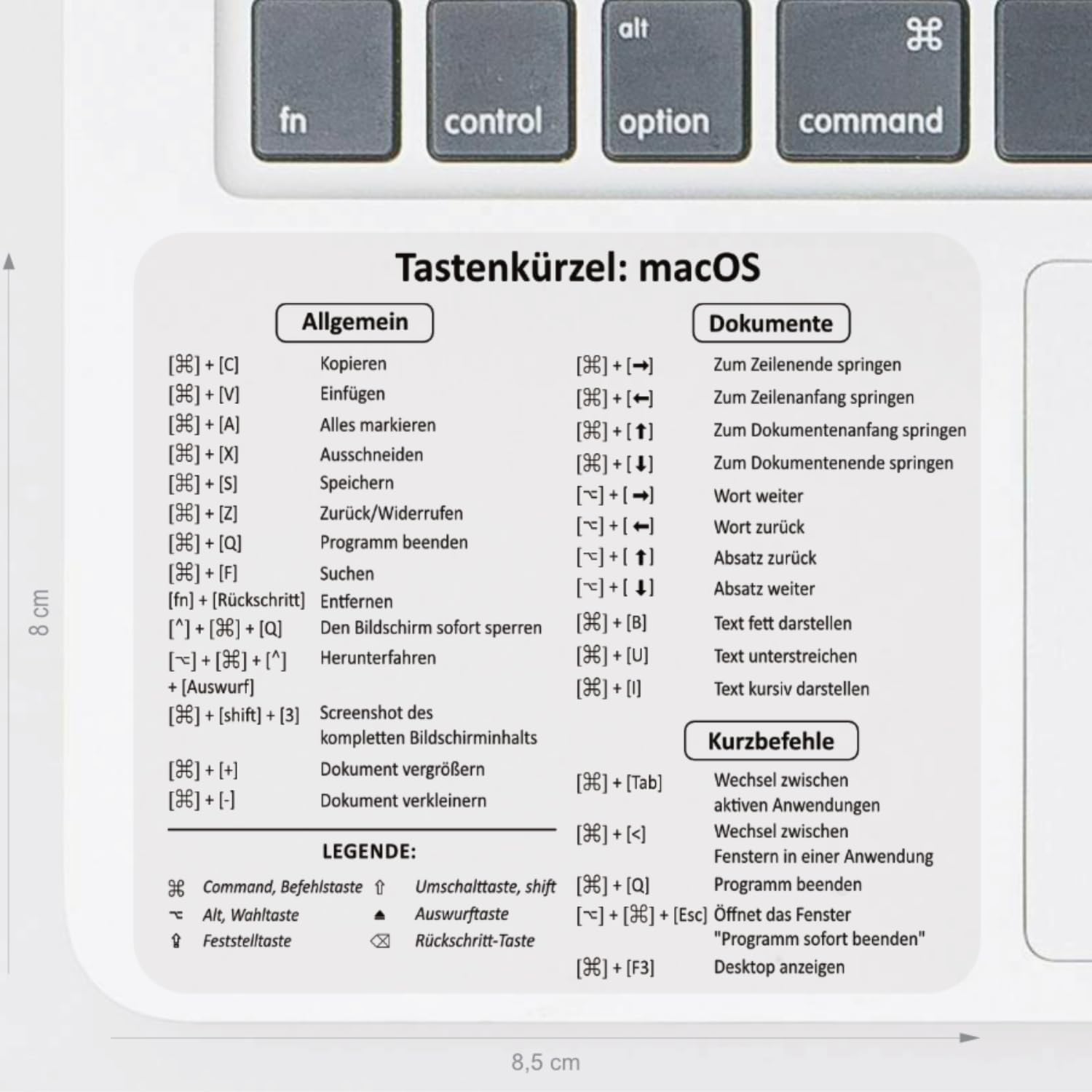 SYNERLOGIC Word/Excel (for Mac) reference guide keyboard shortcut ...