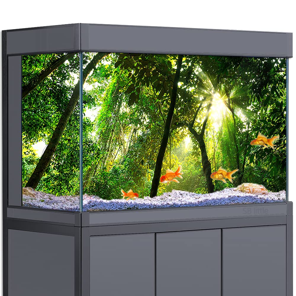 Tropical Aquarium Fish Wallpaper