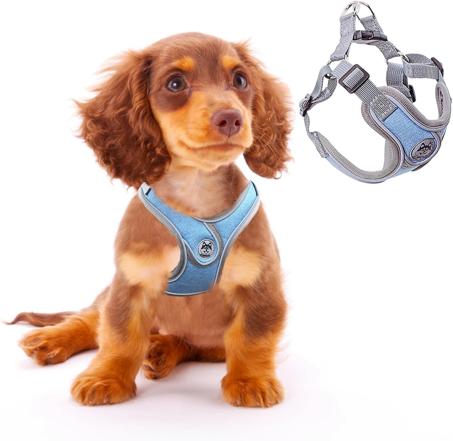 ORYEDA Puppy Harness No Pull for Small Size, Dog Easy Walk Adjustable ...