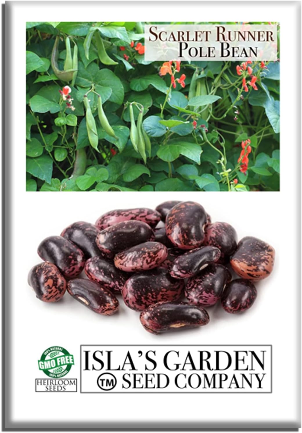 Amazon.com : King of The Garden Lima Bean Seeds for Planting, Pole Bean ...