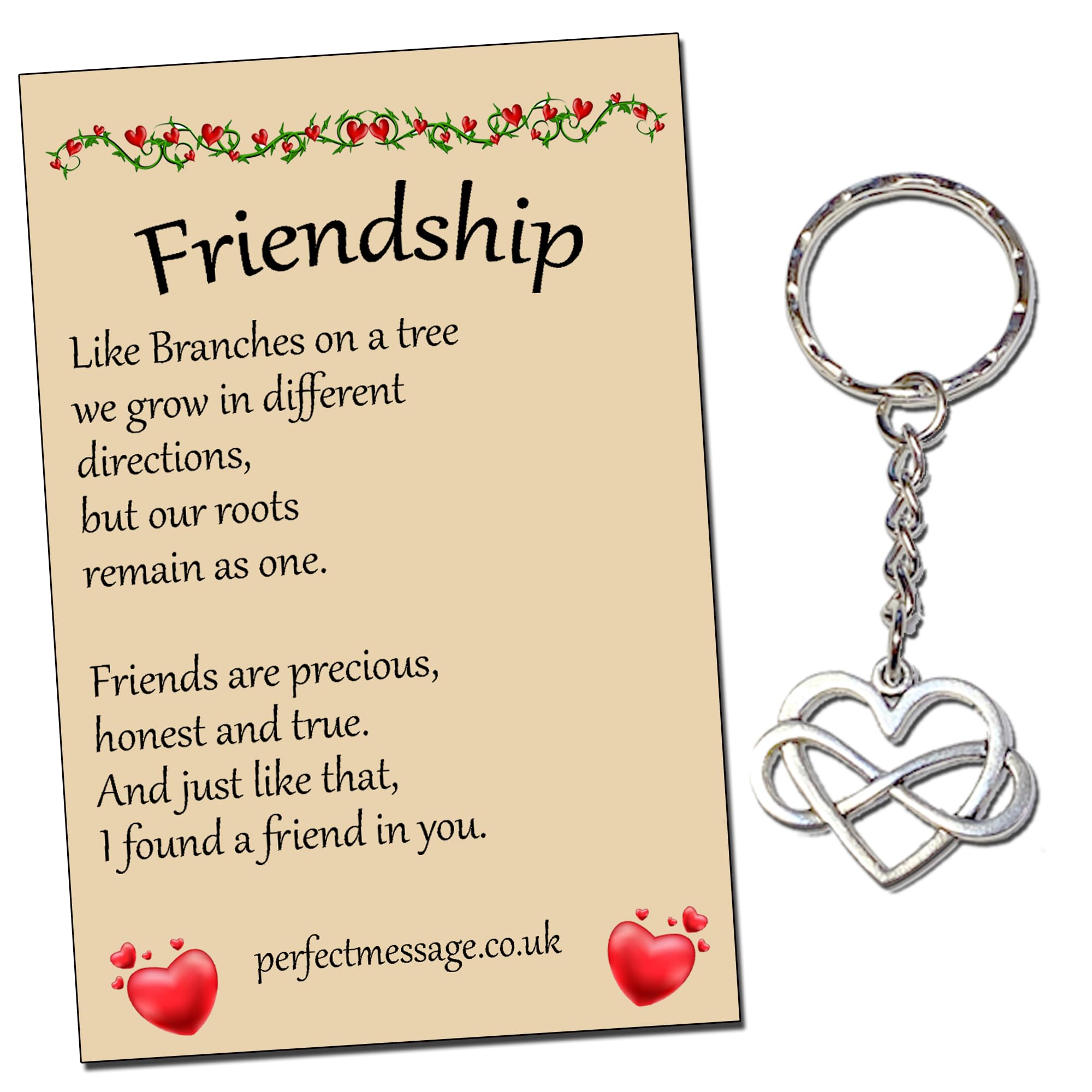 Perfect Message Ltd Gift for Friends Friendship Inspirational Keyring ...