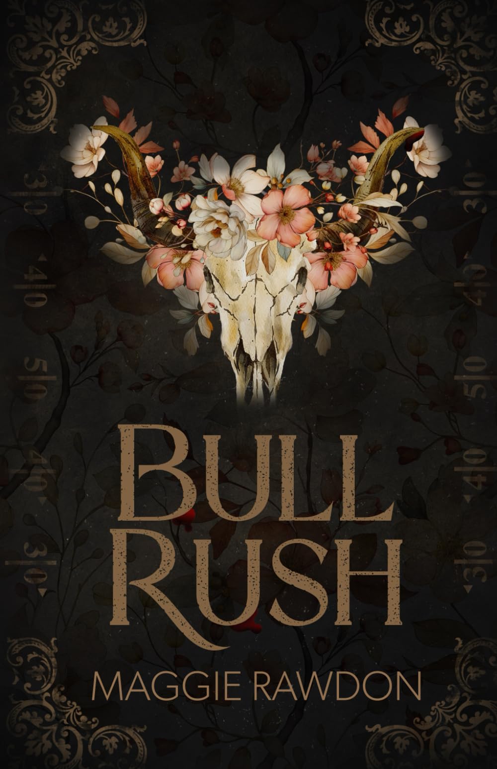 Amazon.com: Bull Rush (The Quiet Horsemen): 9781959523314: Rawdon ...