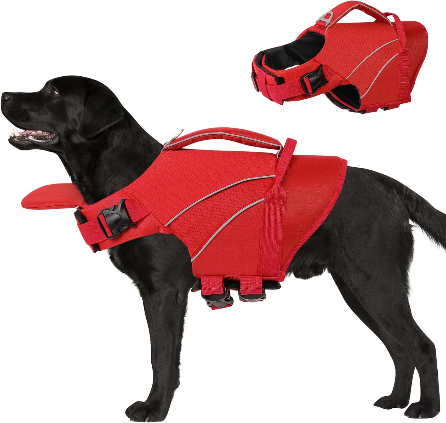 Amazon.com : Queenmore Dog Life Jacket Large, Dog Pool Float with Chin ...