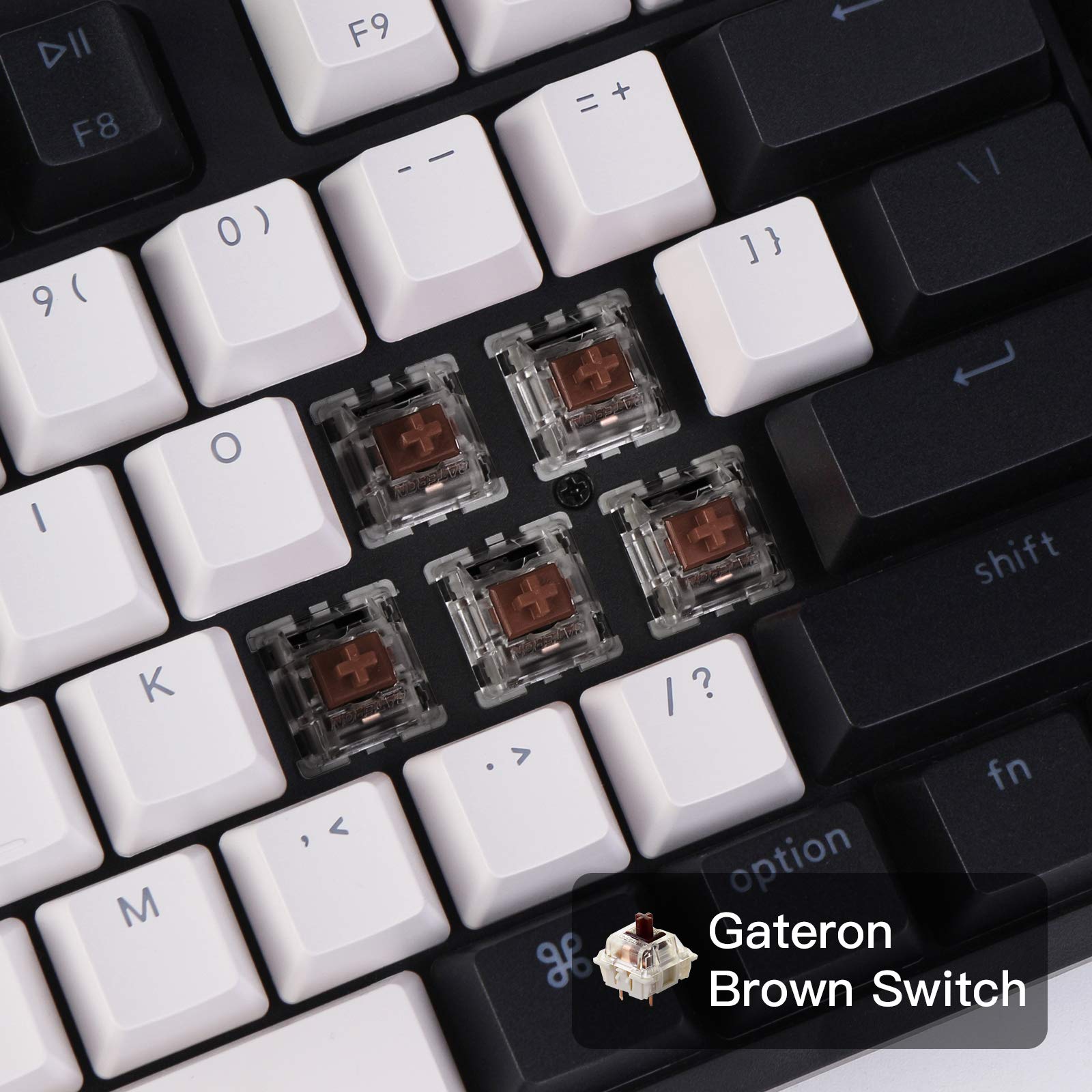 Keychron C1 Mac Layout Wired Mechanical Keyboard, Gateron Brown Switch ...