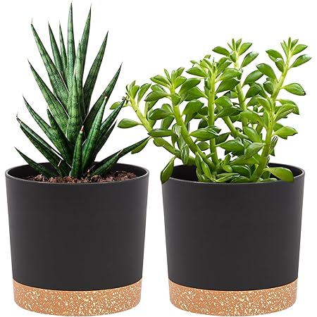 Amazon.com : POTEY 056201 Ceramic Planter Pots - 5 Inch Minimalist ...