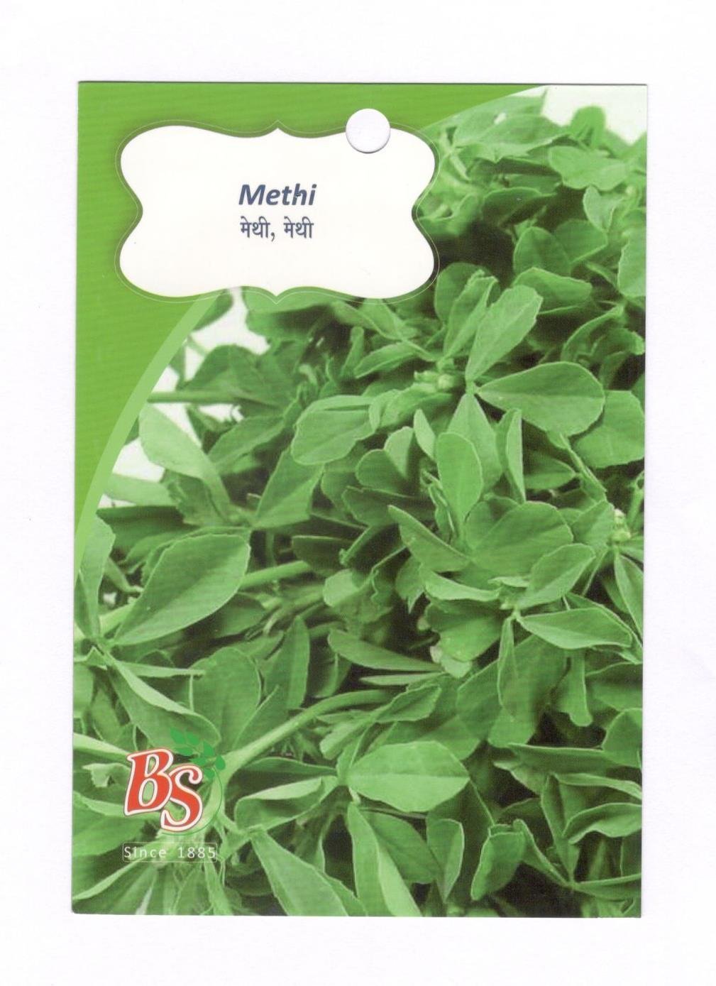 Buy Bombay Seeds Methi Kgp Seeds (Pack Of 3) Online at Low Prices in India - Amazon.in