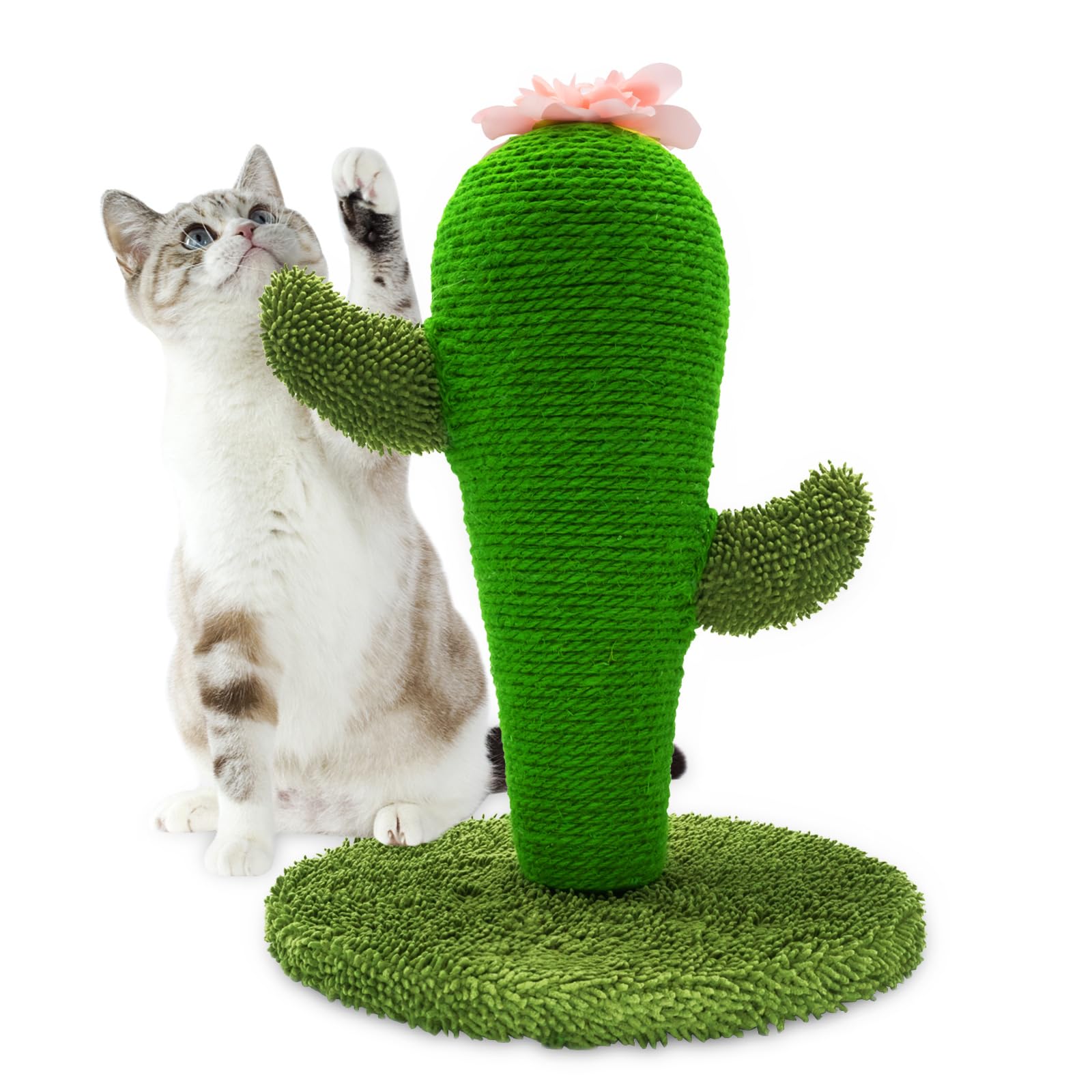 AUSCAT Cat Scratching Post, Cute Cactus Scratching Post, Nature Sisal ...
