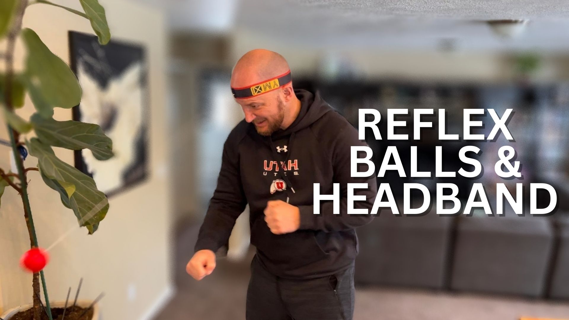 Watch Ultimate Reflex Ball Set - 4 Balls and 2 Headbands on Amazon Live