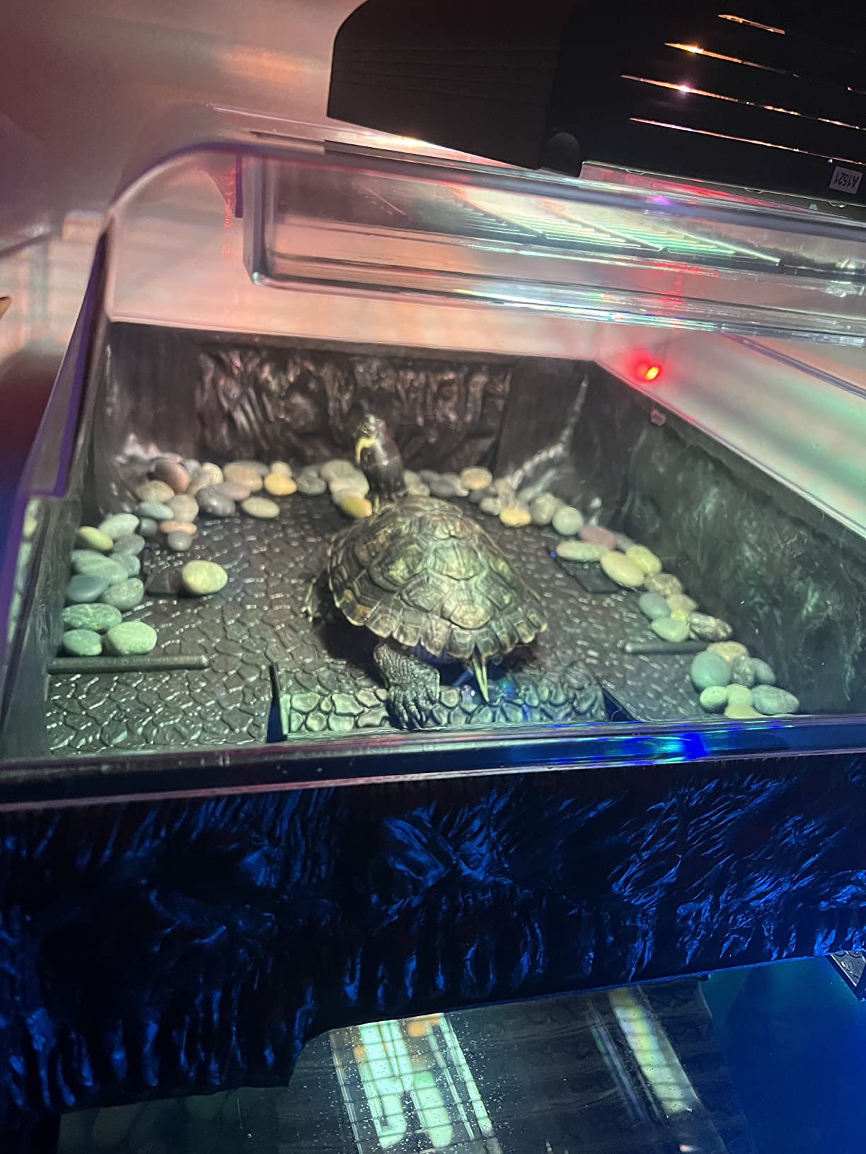 $9/mo - Finance PENN-PLAX Reptology Turtle Topper – Above Tank Basking ...