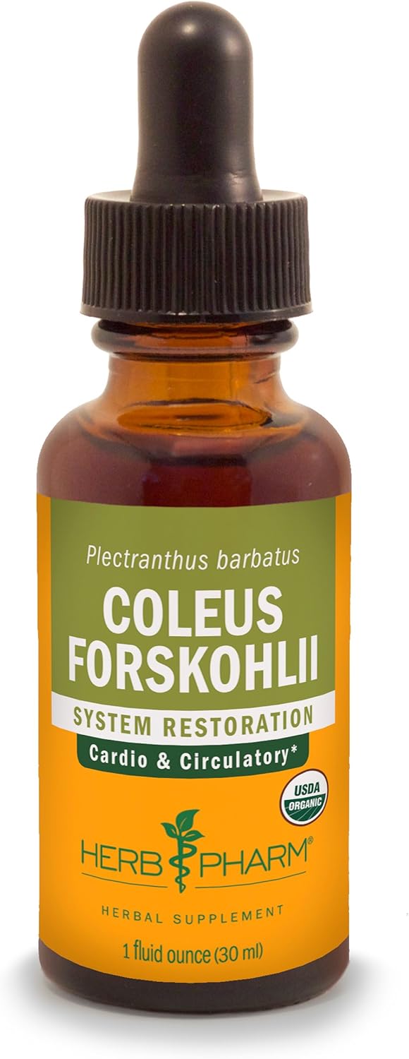 Amazon.com: Herb Pharm Coleus Forskohlii Liquid Extract for Heart ...