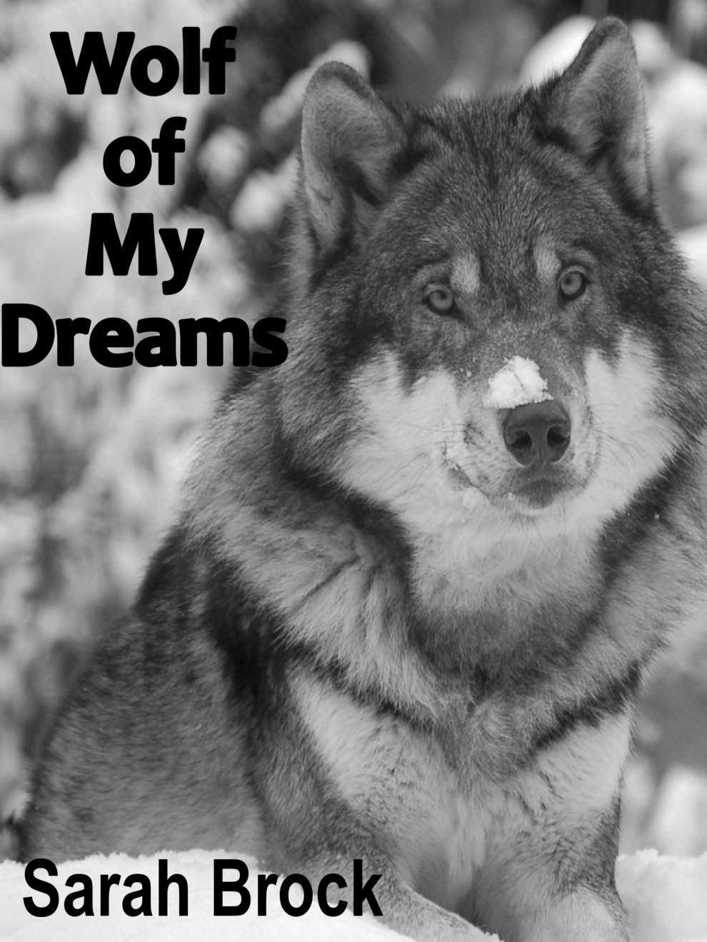 Wolf of My Dreams (Wolf series Book 4) - Kindle edition by Brock, Sarah ...