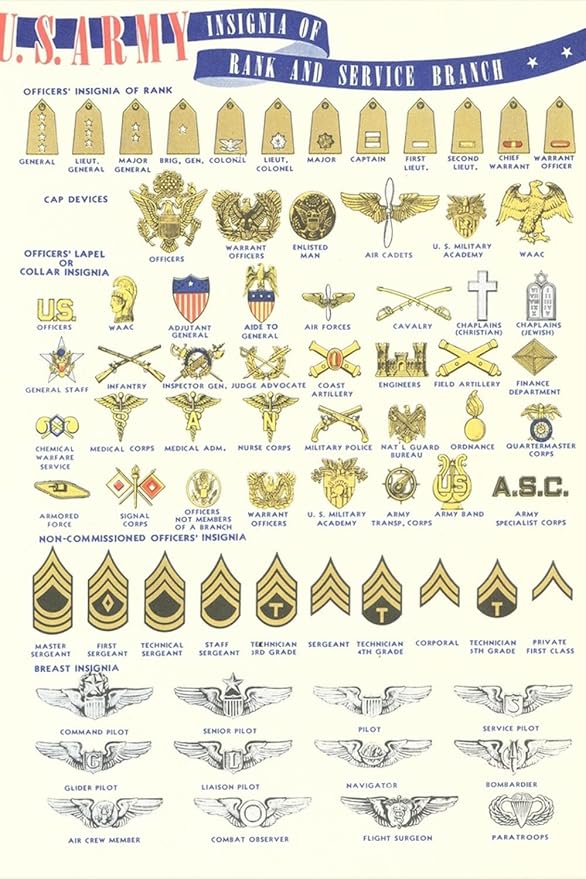 Amazon.com: ART.COM Wall Art Print US Army Rank and Service Insignia ...